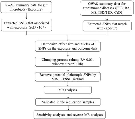 Figure 1 From Causal Relationship Between Gut Microbiota And Autoimmune