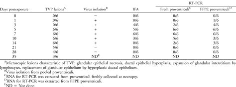 Detection Of Chicken Proventricular Necrosis Virus R113 Virus In