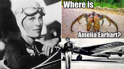Crabs And Amelia Earhart Meme Amelia Earhart Skeleton Ubqggk