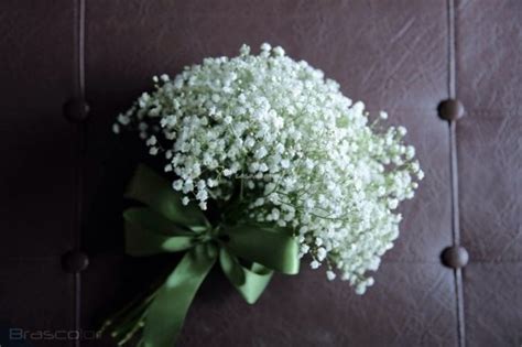 Buquê De Gipsofila Mosquitinho Quem Usaria