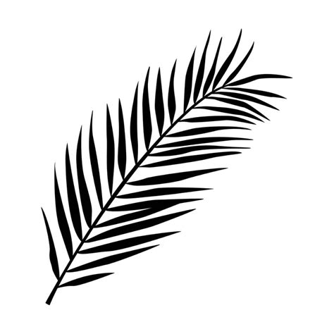 Palm Leaf Svg For Creative Projects Silhouette Leaf Palm Palm Frond
