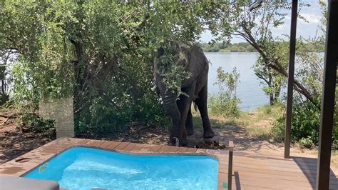 Indefra Sikringen 34 Andreas Føler At Han Er Spærret Inde På