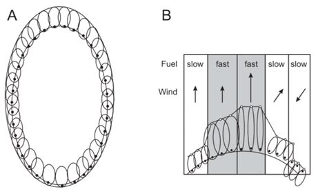 2 Huygens Principle Illustrated A Uniform Conditions Create