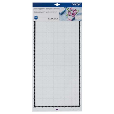 Brother Birch Wholesale