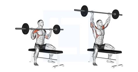 Dumbbell Seated Shoulder Press Guide Benefits And Form