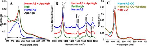 A Absorption And B Rr Spectra Of Heme Feiii − A β 1 − 40