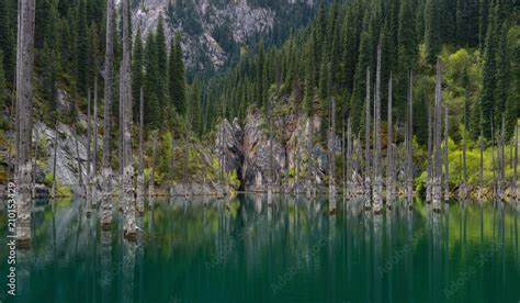 Underwater Forest Of Lake Kaindy