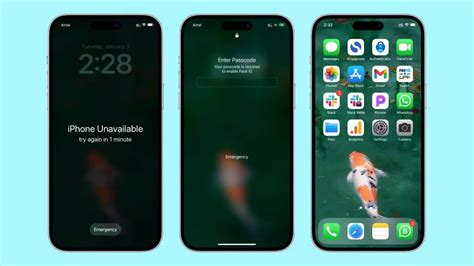 How Do You Get Past A Forgotten Iphone Passcode Darwins Data