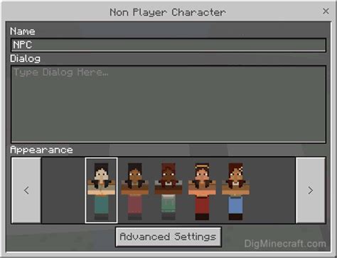 Npc In Minecraft