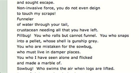 I Was Looking Up Information On Sow Bugs For My Biology Experiment When