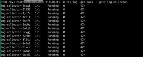 Abnormal Logcollector Status On A Container Torch Log Service Byteplus