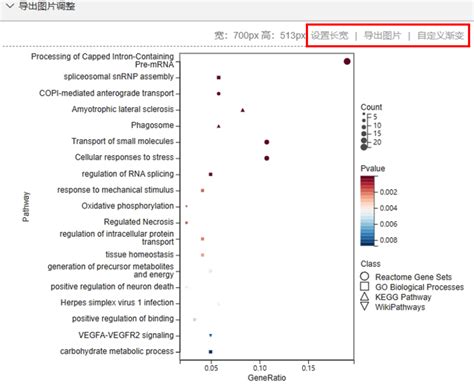 组学数据分析实操系列 （四） 富集气泡图的绘制sangerbox官网 Csdn博客
