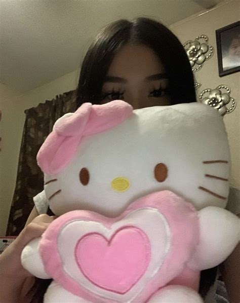 Pinterest Hello Kitty Plush Hello Kitty Hello Kitty Collection