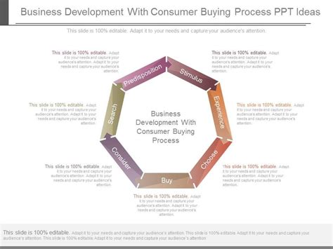 Business Development With Consumer Buying Process Ppt Ideas