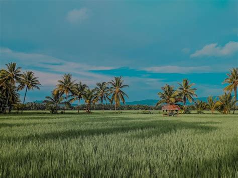 Premium Photo Landsacape