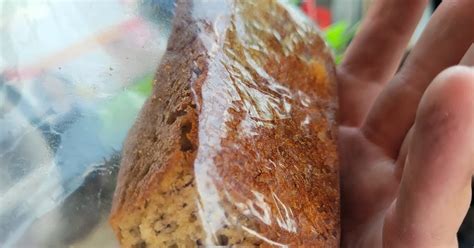 Hillbilly Mansion The Pony Does Not Work For Bread Alone