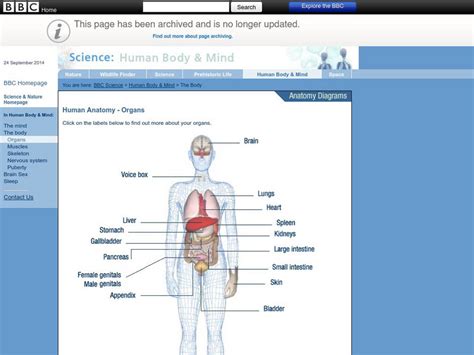 Bbc Human Anatomy Organs Handout For 9th 10th Grade Lesson Planet