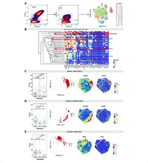 Cytof Analysis Differentiated Naïve B Cell And Plasmablast