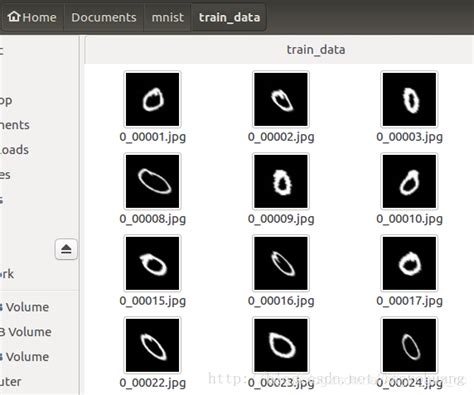 Pytorch快速上手（3） 如何处理自己的数据集pythonallingzxcc 魔乐社区