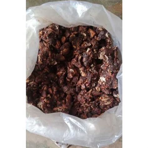 Fresh Dry Imli At ₹ 85kg Koraput Id 26207606162