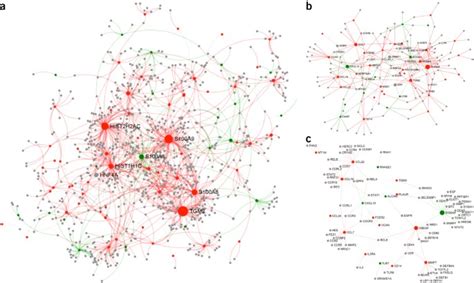 Networkanalyst For Statistical Visual And Network Based Meta Analysis