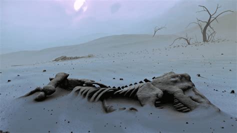 An Interview With Geoscientist Gerta Keller Extinction Theory Owlcation