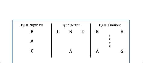 Schemes Of The Agility Tests Download Scientific Diagram