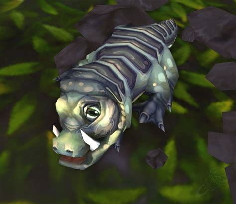 Schnapps Eimer Gegenstand World Of Warcraft