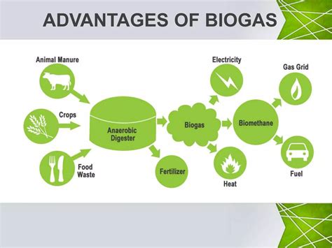 Separation Of Co2 And Moisture From Biogas By Adsorption Method Pptx