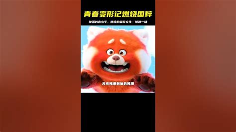 內容超越片名的最新力作《青春變形記》濃濃的國粹文化 影評 搞笑 電影推薦 驚悚電影 電影 Youtube