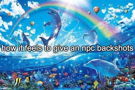 Happy Dolphin Rainbow Imgflip