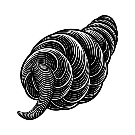 Worm Shell Illustrations 60617100 Vector Art At Vecteezy