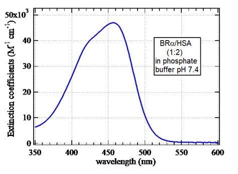 In Which Publication Did This Graph Of The Absorption Spectrum For Bilirubin Appear Researchgate