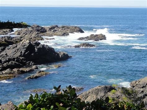 The 30 Best Places To Visit In Barkley Sound 2026