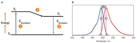 Fluorescence Flow Cytometry Guide Bio Rad