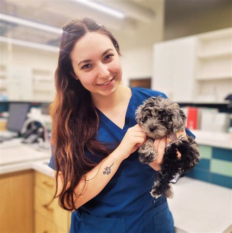 Meet Our Team Lincoln Hills Veterinary Hospital