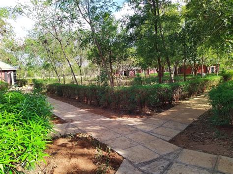 Clay International Secondary School