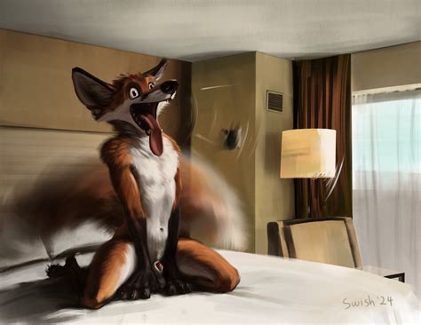 Rule 34 2024 Animal Genitalia Anthro Balls Bed Black Nose Canid