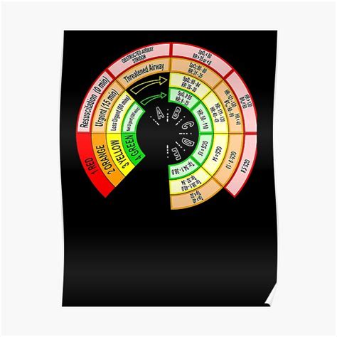 4 Level Triage Vital Signs Card For Or Ed Icu And Er Nurse Poster