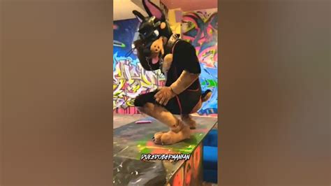 My First Dukedoberman Edit Youtubeshorts Fursuit Fursuitbutt Dukedoberman Youtube