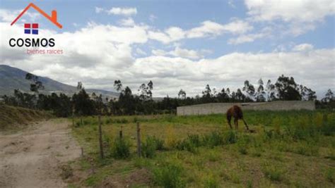 Se Vende En Cotacachi 7 Lotes De 400 M2 En Cuicocha Pana Quiroga En Ecuador
