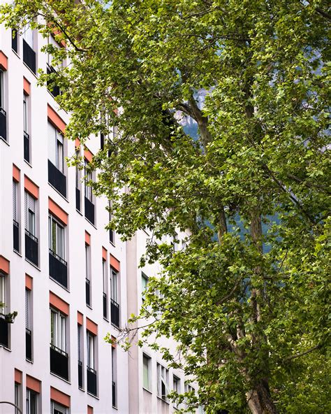 General Construction Dynamic Constructors