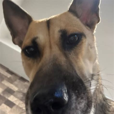 這也太雙標了吧 為什麼一個女生如果跟十個男生上床她會被叫蕩婦 但如果一個男生做了一樣的事情 他會被叫同性戀🏳️‍🌈