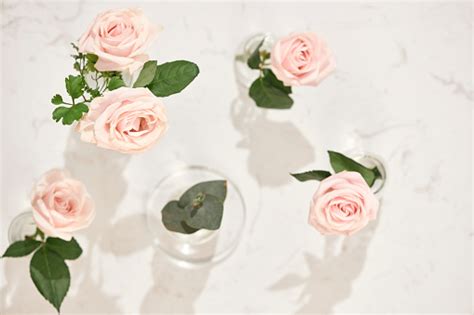 핑크 바탕에 꽃병에 아름 다운 장미 꽃입니다 여자 또는 어머니 날에 대 한 인사말 카드입니다 0명에 대한 스톡 사진 및 기타