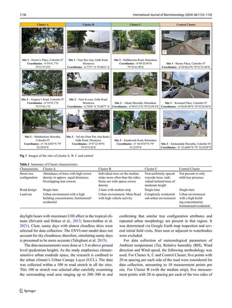 Street Tree Configuration On Uhi Mitigation Pdf