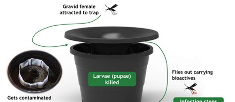 In2care Mosquito Trap Near You Fort Worth Tx