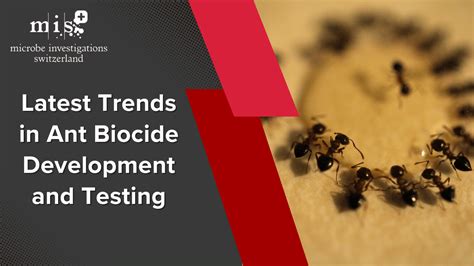 Ant Biocides Testing Latest Trends In Biocide Development