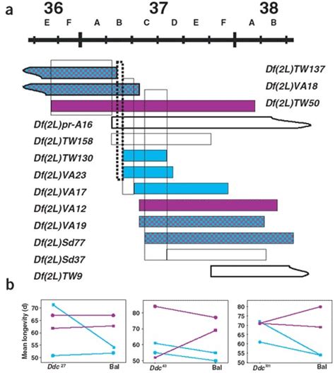 Complementation Tests To Deficiencies And Mutationsa Deficiency
