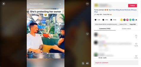 Top 10 Most Popular Tiktok Memes 2024 Which One Is Your Favorite