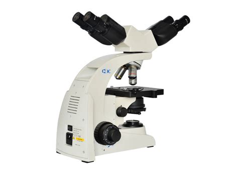 Uop Ub104i Multi Viewing Microscope Edu Science Dual Viewer Microscope